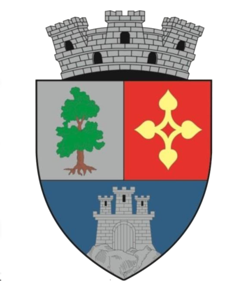 Primaria Orasului Talmaciu – Pagina oficiala